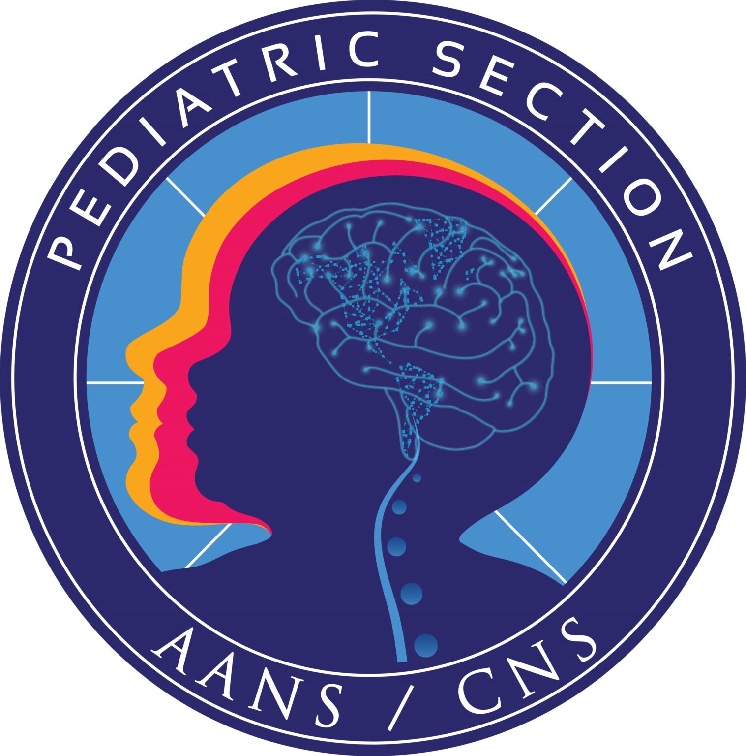 AANS / CNS Joint Sections - AANS
