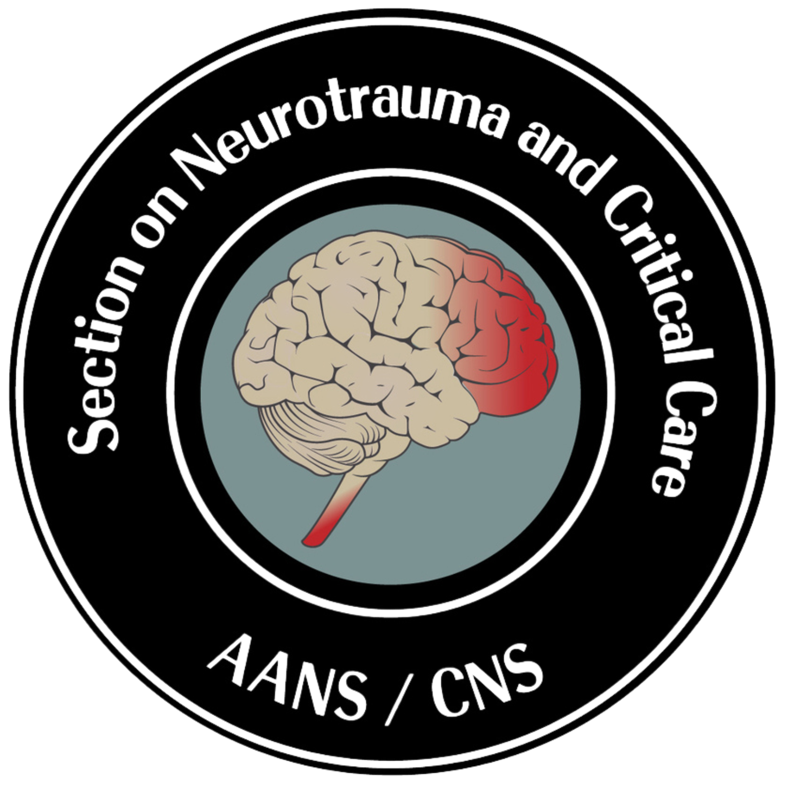 AANS / CNS Joint Sections - AANS